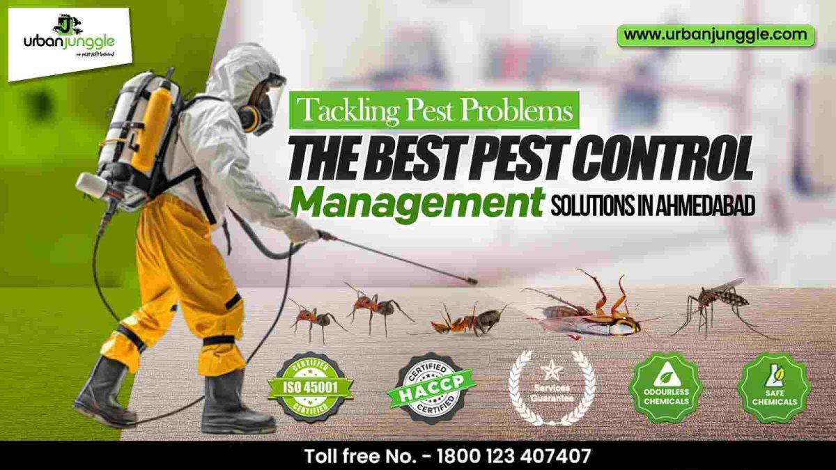 Tackling Pest Problems: The Best Pest Control Management Solutions In ...